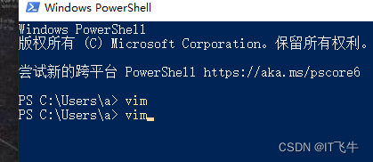 Window11安装vim编辑器_winvim-CSDN博客