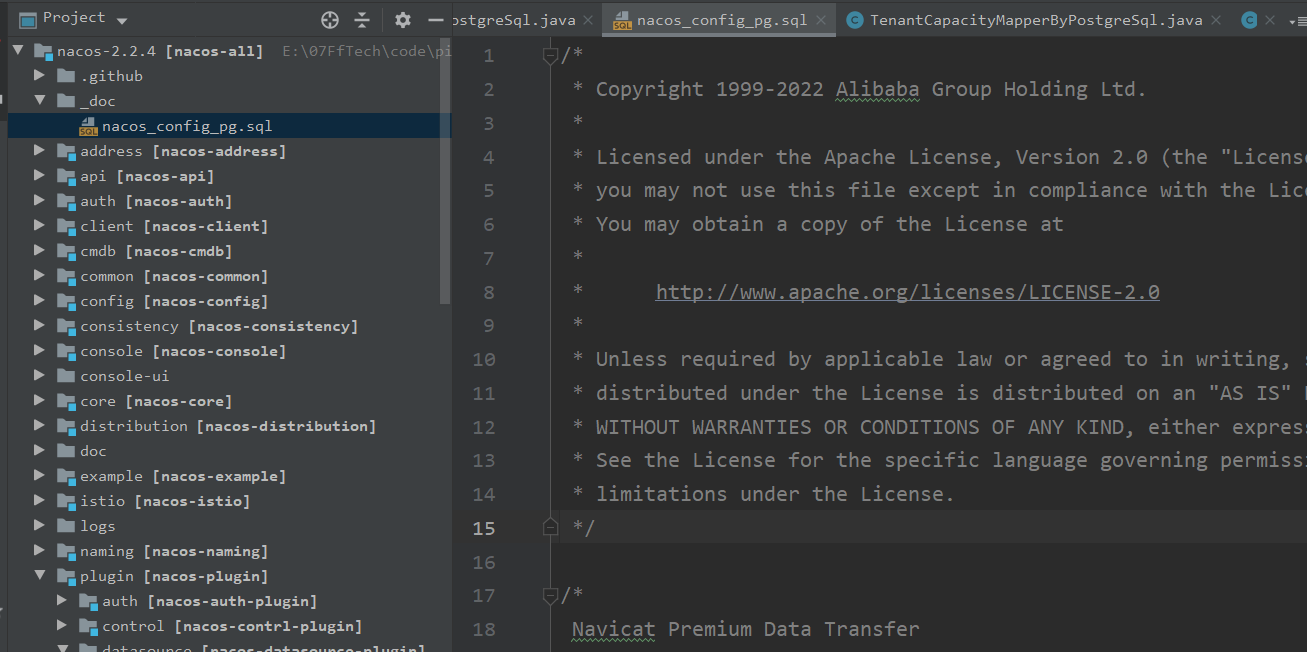 【Nacos】Nacos 2.2.4支持pg数据库适配改造_nacos postgresql-CSDN博客