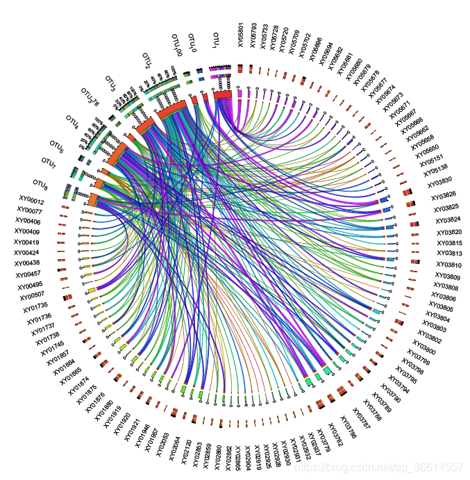 借助工具绘制完整circos图（一）数据准备与数据理解_circos弦状图-CSDN博客