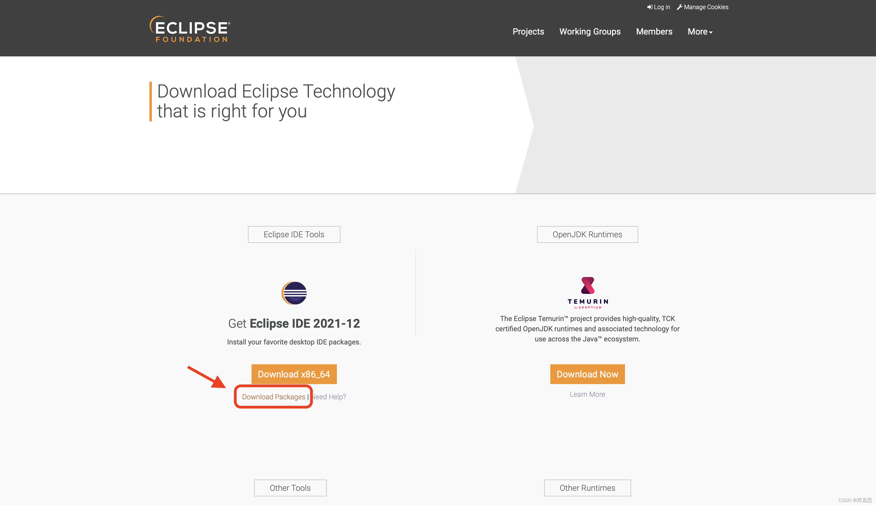 M1 MacBook Eclipse安装步骤（含JDK安装及汉化）_mac中m1安装eclipse-CSDN博客