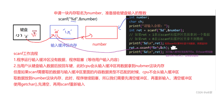 第一周（简述linux和C语言的数据类型）_linux bool 头文件-CSDN博客