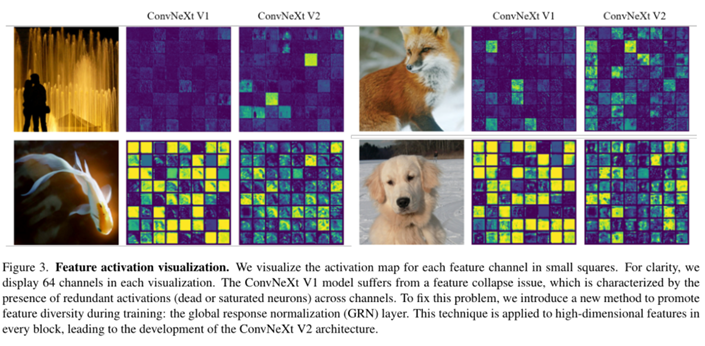 ConvNeXt V2: Co-designing and Scaling ConvNets with Masked Autoencoders-CSDN博客