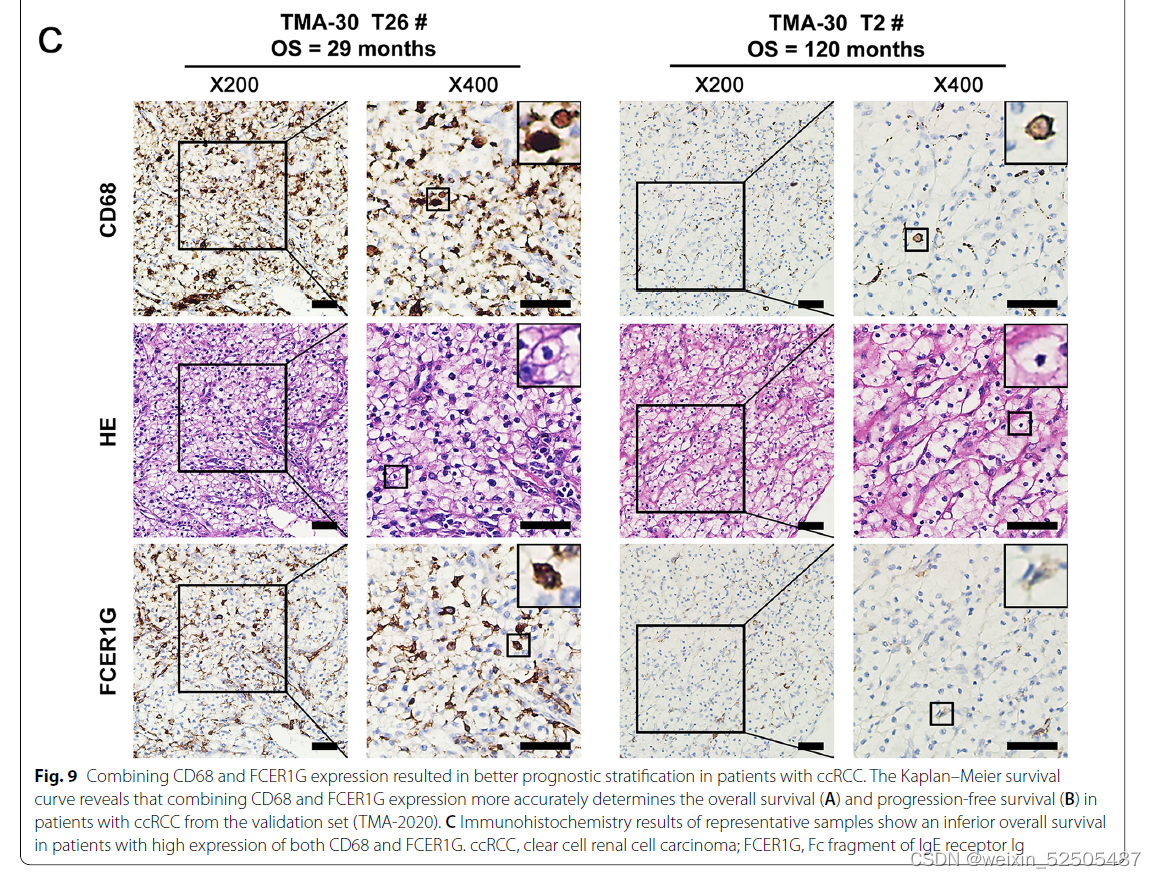 多重荧光免疫组化（mIHC）实验原理-CSDN博客
