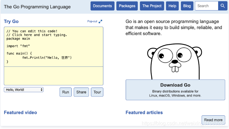go 自动文档生成 如何写高大上的 godoc（Go 文档）_doc.go-CSDN博客