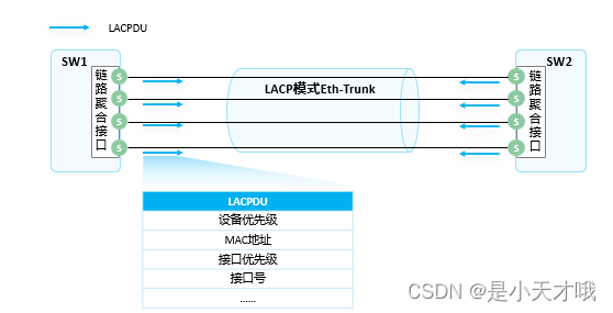 华为Eth-Trunk链路聚合原理与LACP模式详解-CSDN博客