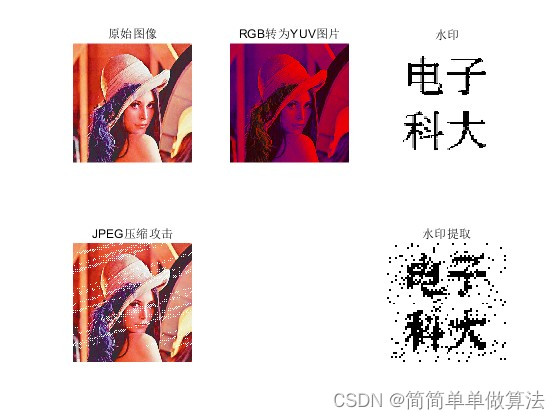 基于二维CS-SCHT变换和扩频方法的彩色图像水印嵌入和提取算法matlab仿真-CSDN博客