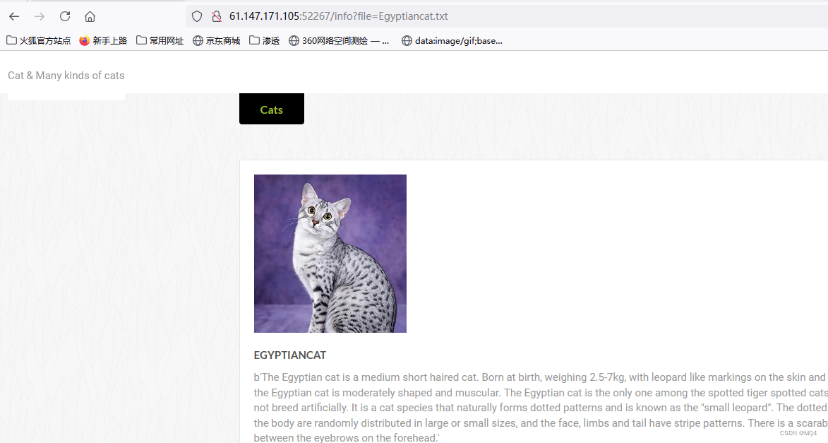 攻防世界-WEB-catcat-new_攻防世界catcat-new-CSDN博客