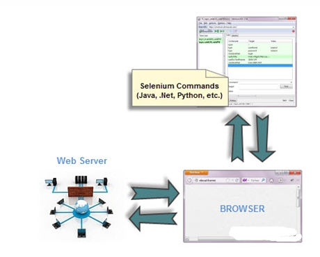 Selenium WebDriver与RC的差异_selenium webdriver和selenium rc-CSDN博客