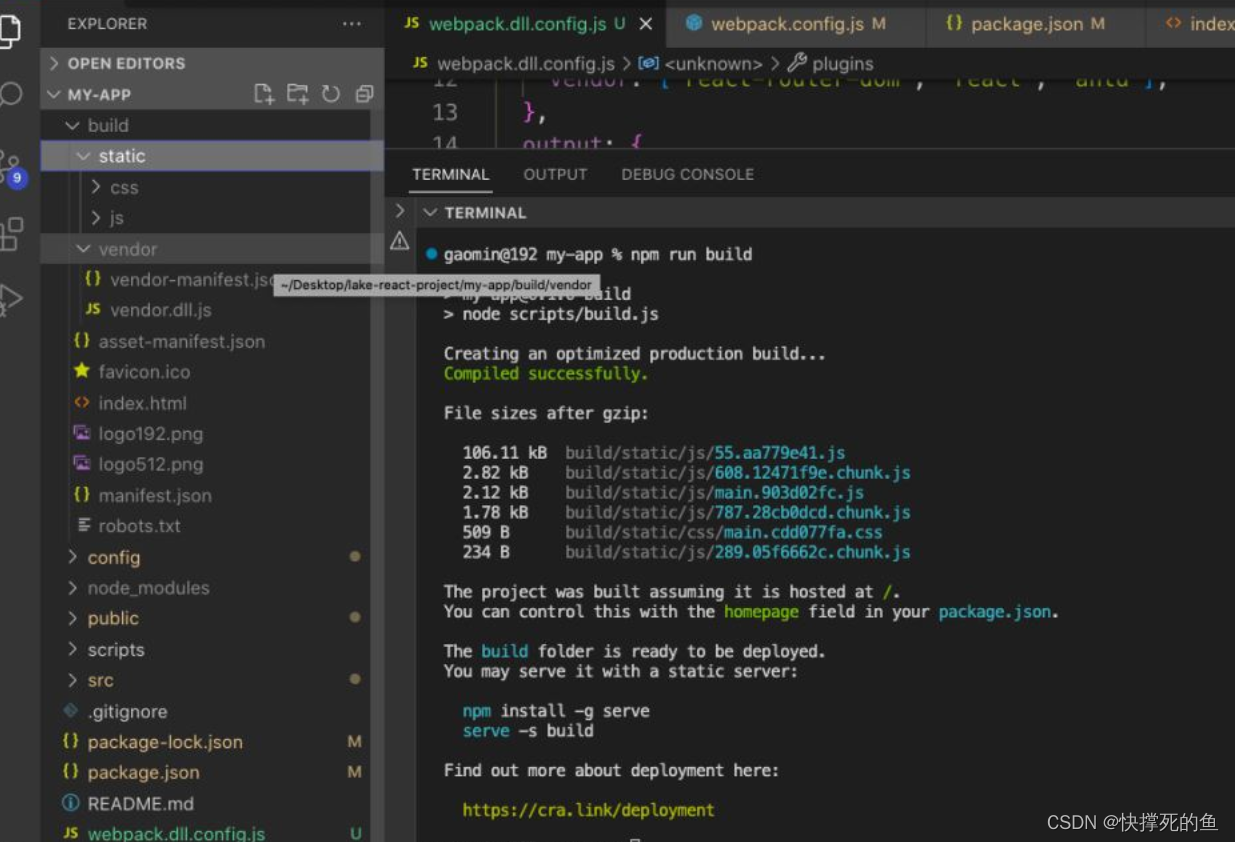 react 项目 中使用 Dllplugin 打包优化技巧_react项目 dll优化-CSDN博客
