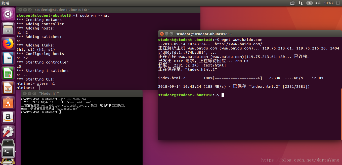 网络基础（一）【解决mininet中xterm域名无法解析的问题】_网络_MartaYang-华为开发者空间