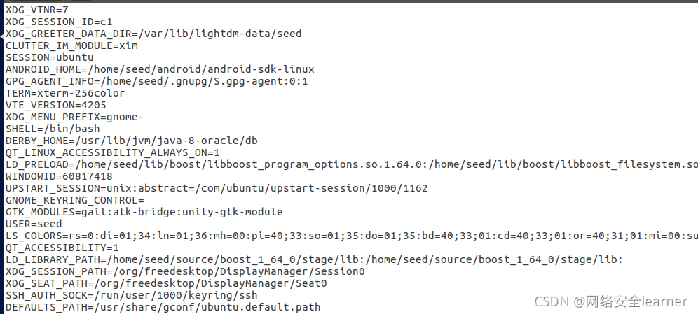 Environment Variable and Set-UID Program Lab-CSDN博客