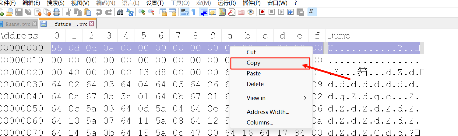 pyc文件添加magic头_pyc magic-CSDN博客