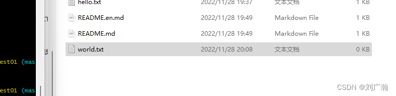 Git基础概念03_$ git push origin master --force enumerating objec-CSDN博客
