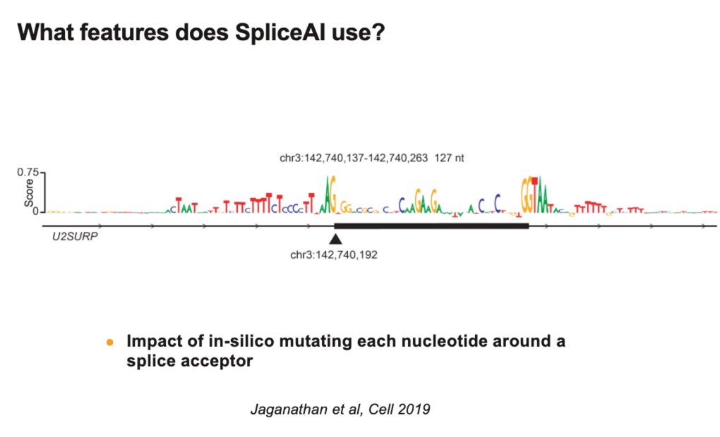 【Gene Expression Prediction】Part4 Predicting splicing from primary sequence_splice acceptor-CSDN博客