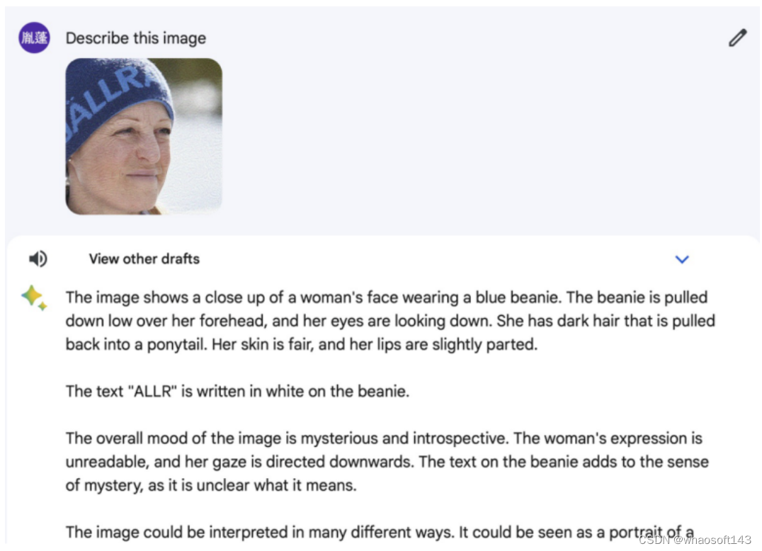 attack_bard-CSDN博客