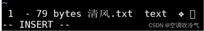 linux中vim命令和find查找命令简介_vim find-CSDN博客