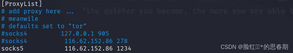 frp内网穿透(socks隧道)_frp socks5-CSDN博客
