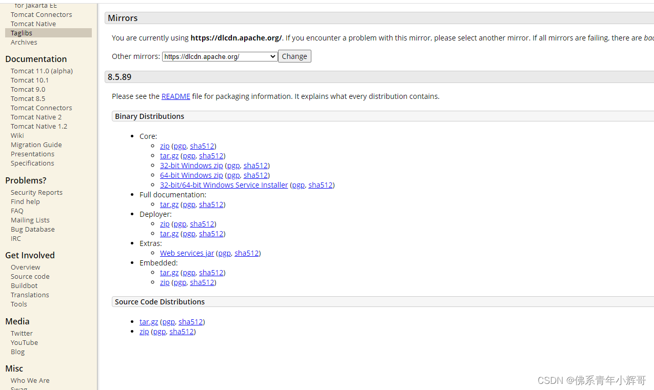 linux系统安装tomcat详细教程_tomcat linux-CSDN博客