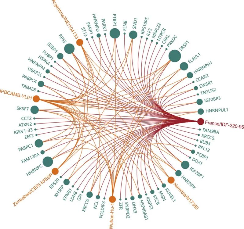 学做NAR图表：ggraph做网络图_ggraph layout 参数-CSDN博客