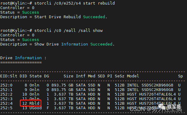 使用storcli/storcli64工具配置RAID-CSDN博客