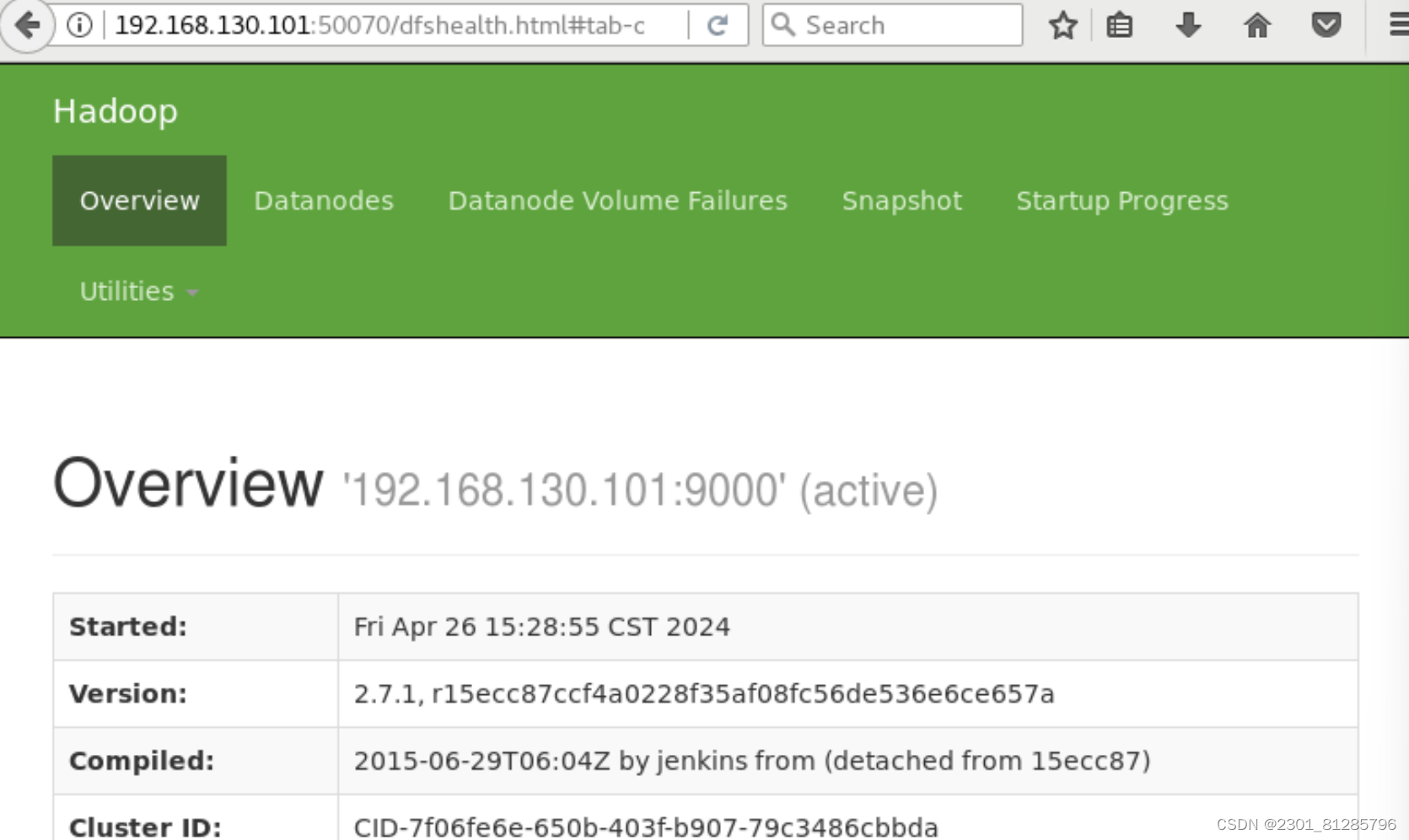 配置与管理Hadoop,Spark及Scala环境：SSH、环境变量与集群部署-CSDN博客