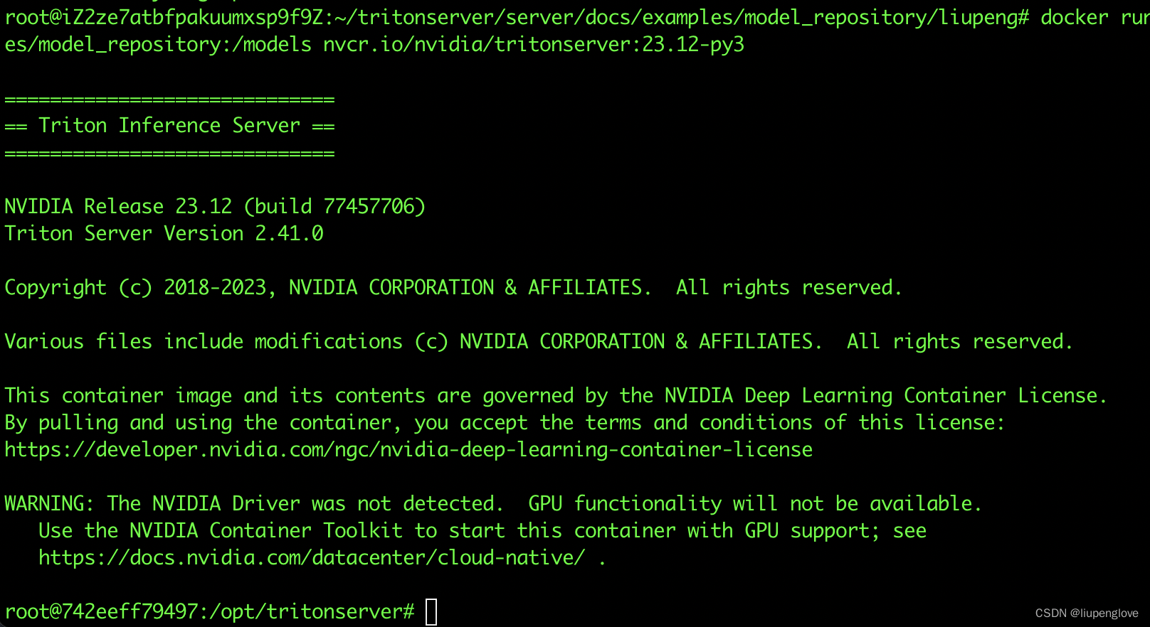 tritonserver学习之六：自定义c++、python custom backend实践_triton c++-CSDN博客