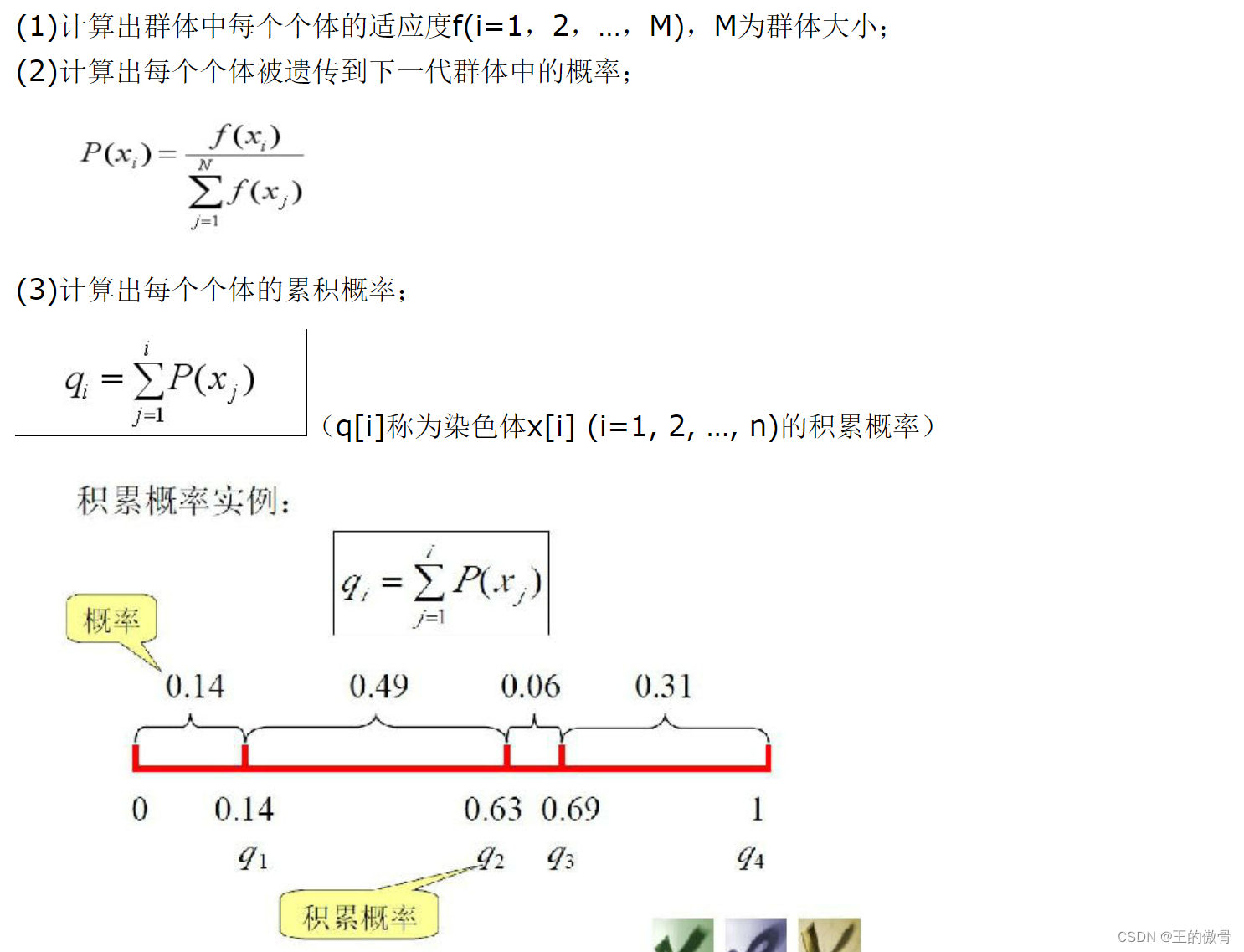 数学建模之遗传算法(ga)数学建模遗传算法的基本原理 Csdn博客