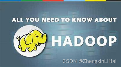 Hadoop技术介绍_hadoop相关技术-CSDN博客