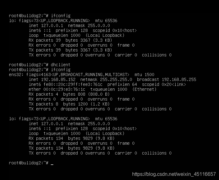 Linux命令之dhclient-CSDN博客
