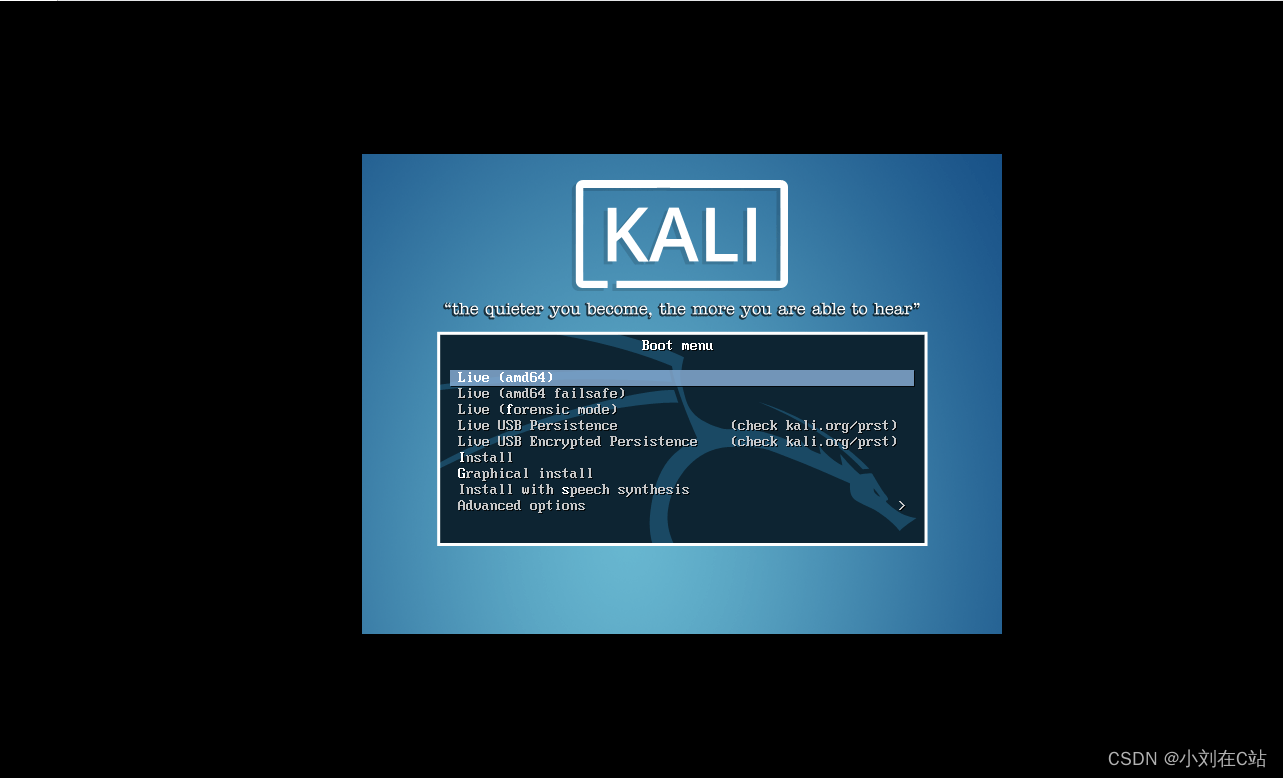kali系统安装详细（跟着图片一步一步进发）_kali安装-CSDN博客