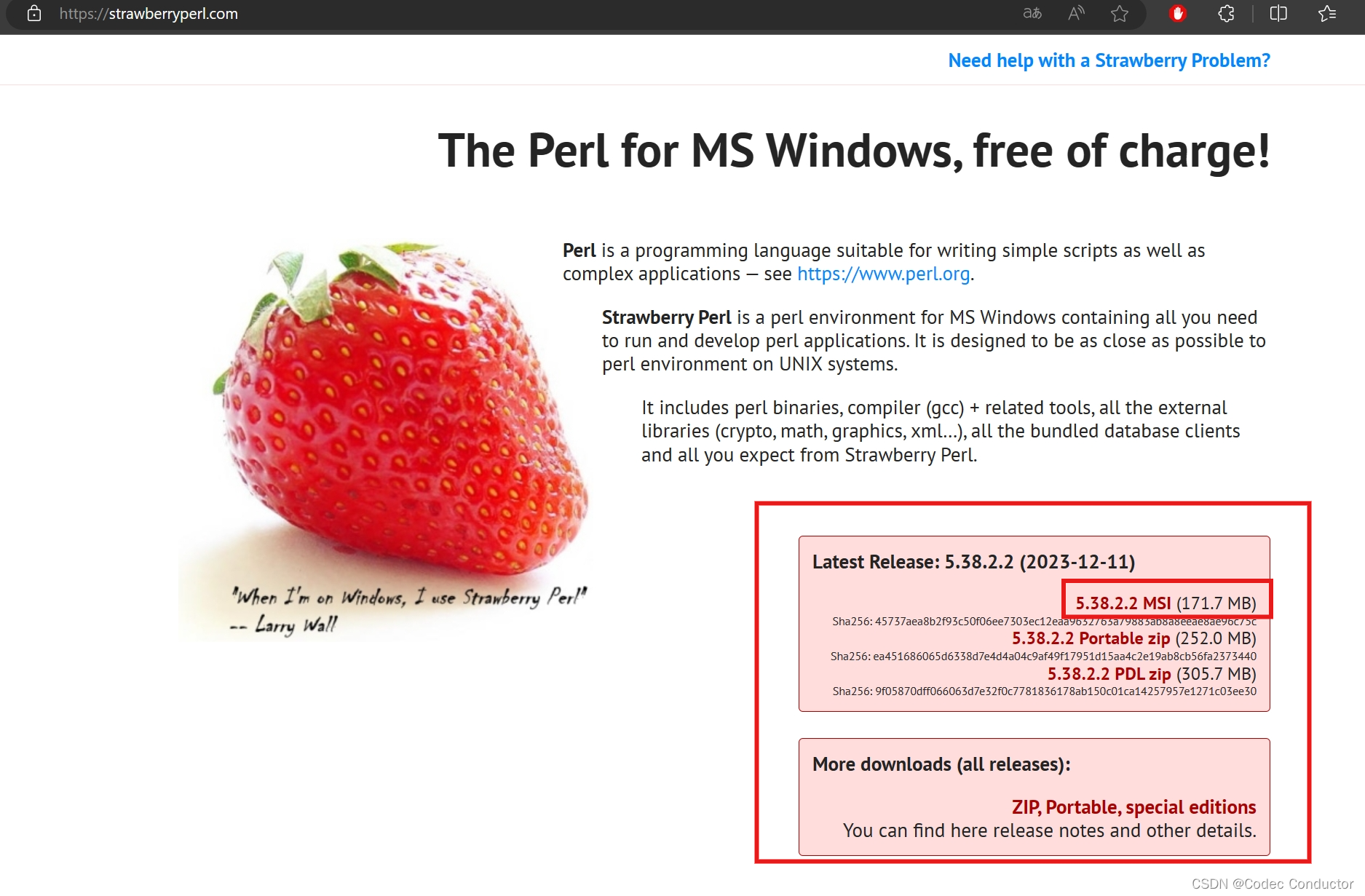 Windows 环境下编译 libaom 源码教程_strawberry-perl-5.38.2.2-64bit.msi-CSDN博客