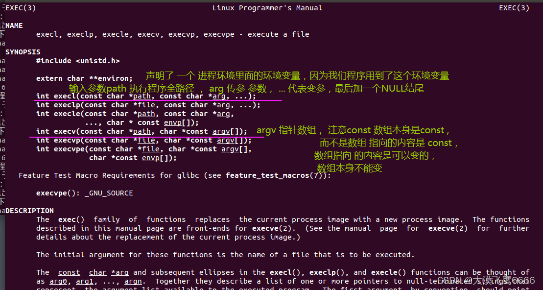 3.4.9.exec族函数及实战1_execv 实例-CSDN博客