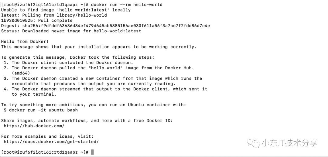 Docker 入门到实战教程三镜像和容器 Csdn博客