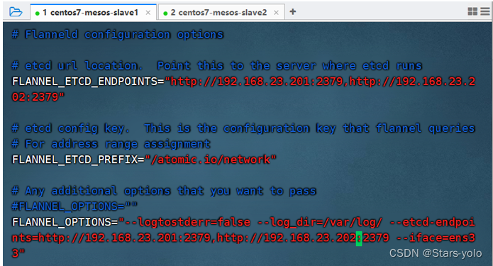 Docker安装与配置flannel_flannel 安装-CSDN博客