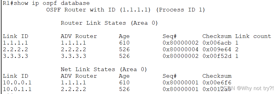 Cisco简单配置（十八）—OSPF_cisco ospf-CSDN博客