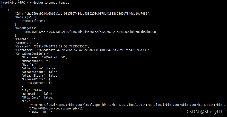 Docker入门（二）_容器学习day08-docker基础(二)-CSDN博客