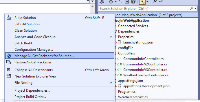 .net8系列-图文并茂手把手教你使用Nlog记录.net日志-CSDN博客