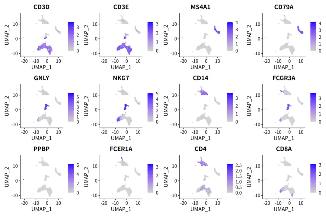 10X单细胞（10X空间转录组）数据分析之NMF（非负矩阵分解）_单细胞nmf-CSDN博客