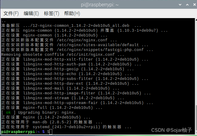 E: 无法获得锁 /var/lib/dpkg/lock-frontend – open (11: 资源暂时不可用)_树莓派无法获得锁-CSDN博客