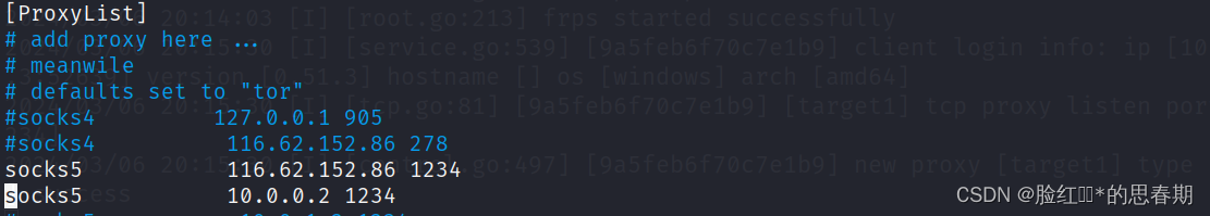 frp内网穿透(socks隧道)_frp socks5-CSDN博客