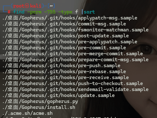 find基础命令与提权教程，find提权过程分析-CSDN博客