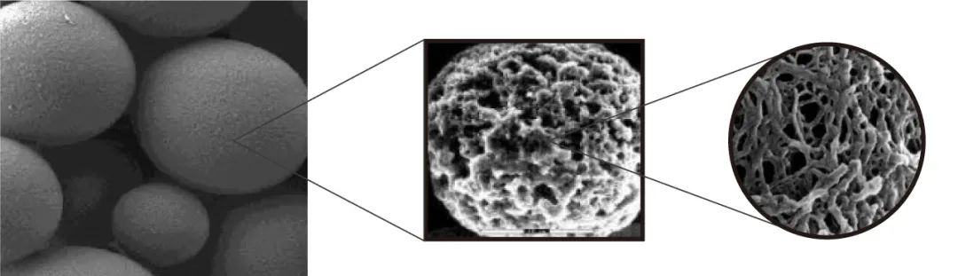 MCE | 磁珠 VS 琼脂糖珠_mce coip磁珠-CSDN博客