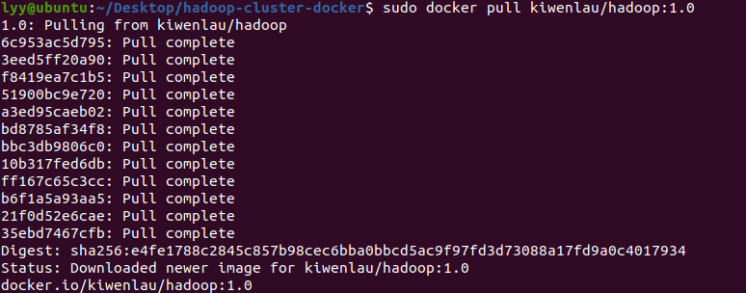 利用 Docker 安装 Hadoop 集群并通过 Java API 访问 HDFS-CSDN博客