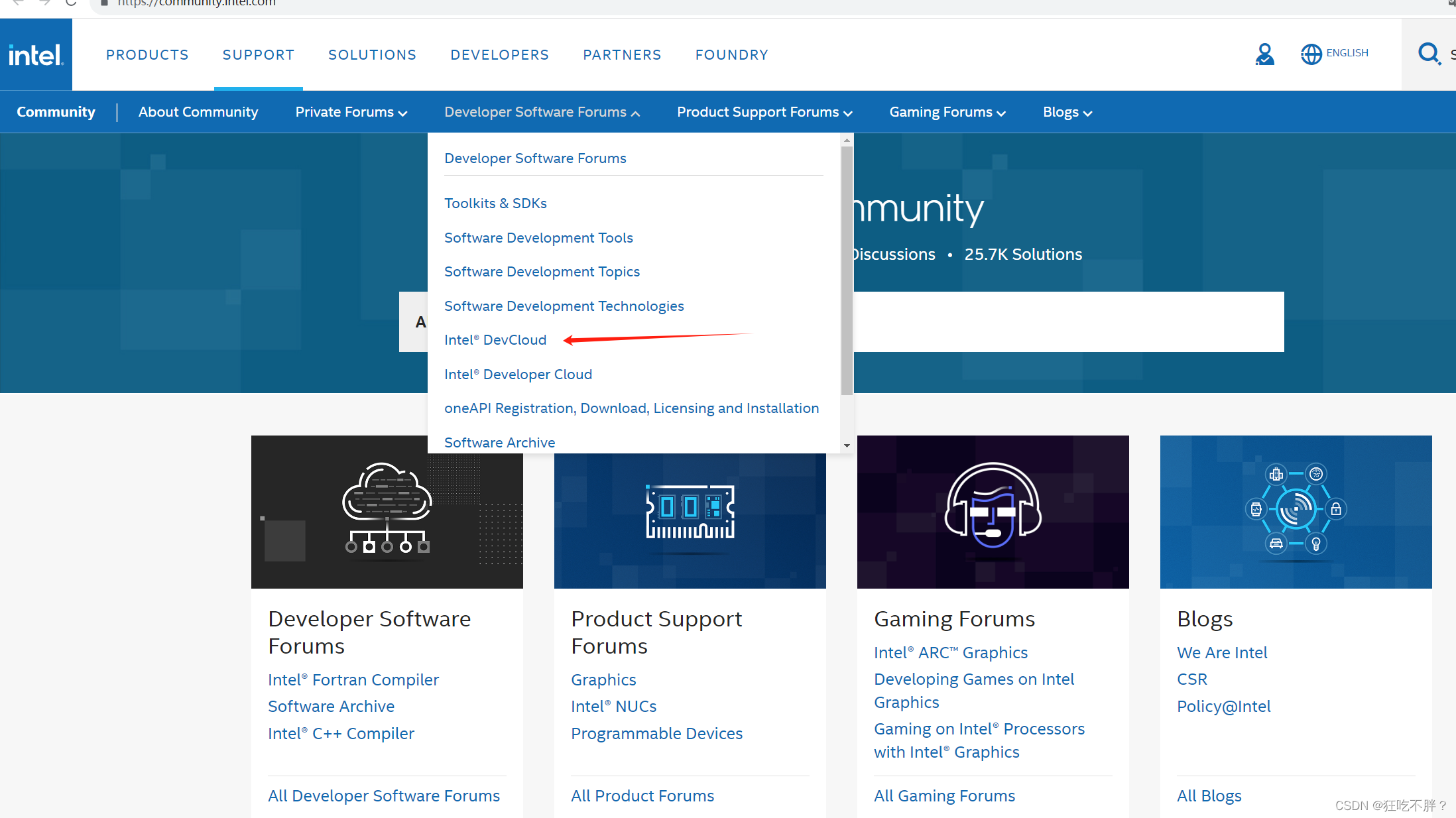 Intel® DevCloud for oneAPI学习记录_在devcloud平台打开终端-CSDN博客