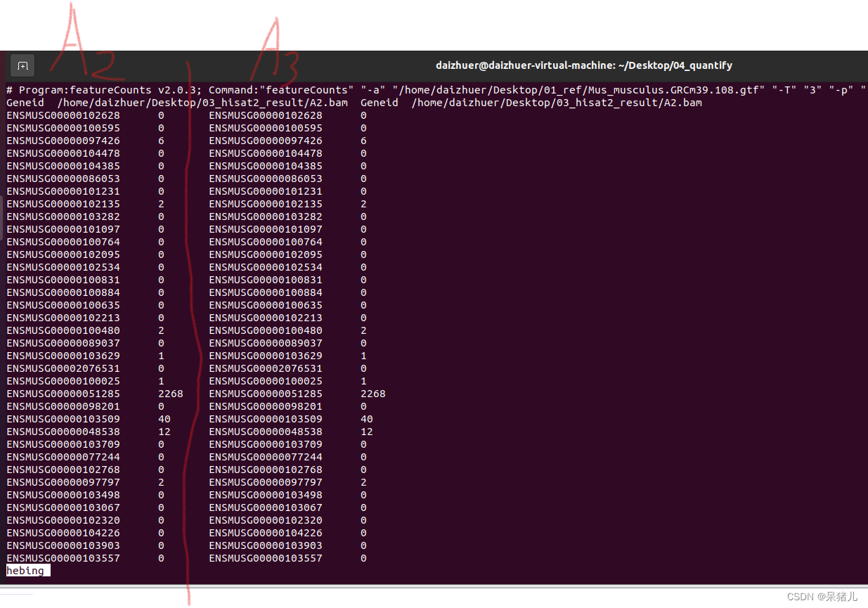 零基础入门转录组上游分析——第五章（表达定量）_--countreadpairs-CSDN博客
