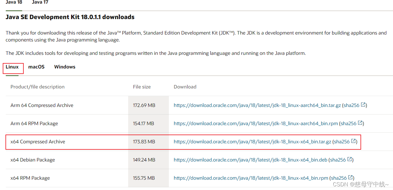 linux系统下安装JDK_linux jdk安装教程-CSDN博客