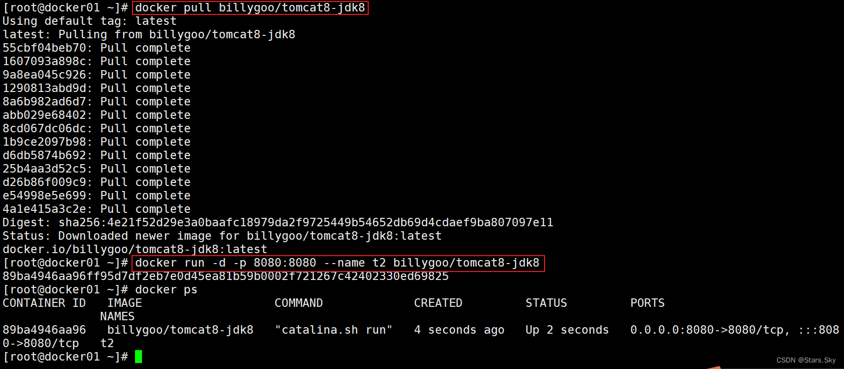 【云原生 | Docker 基础篇】09、Docker 常规安装软件步骤_使webapps.dist变成webapps-CSDN博客