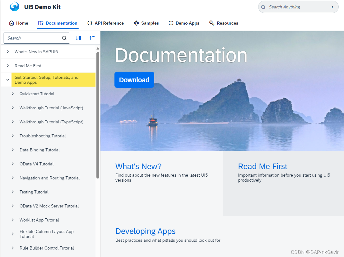 SAPUI5基础知识1 - 概览，库，支持工具，自学教程_sap ui5-CSDN博客