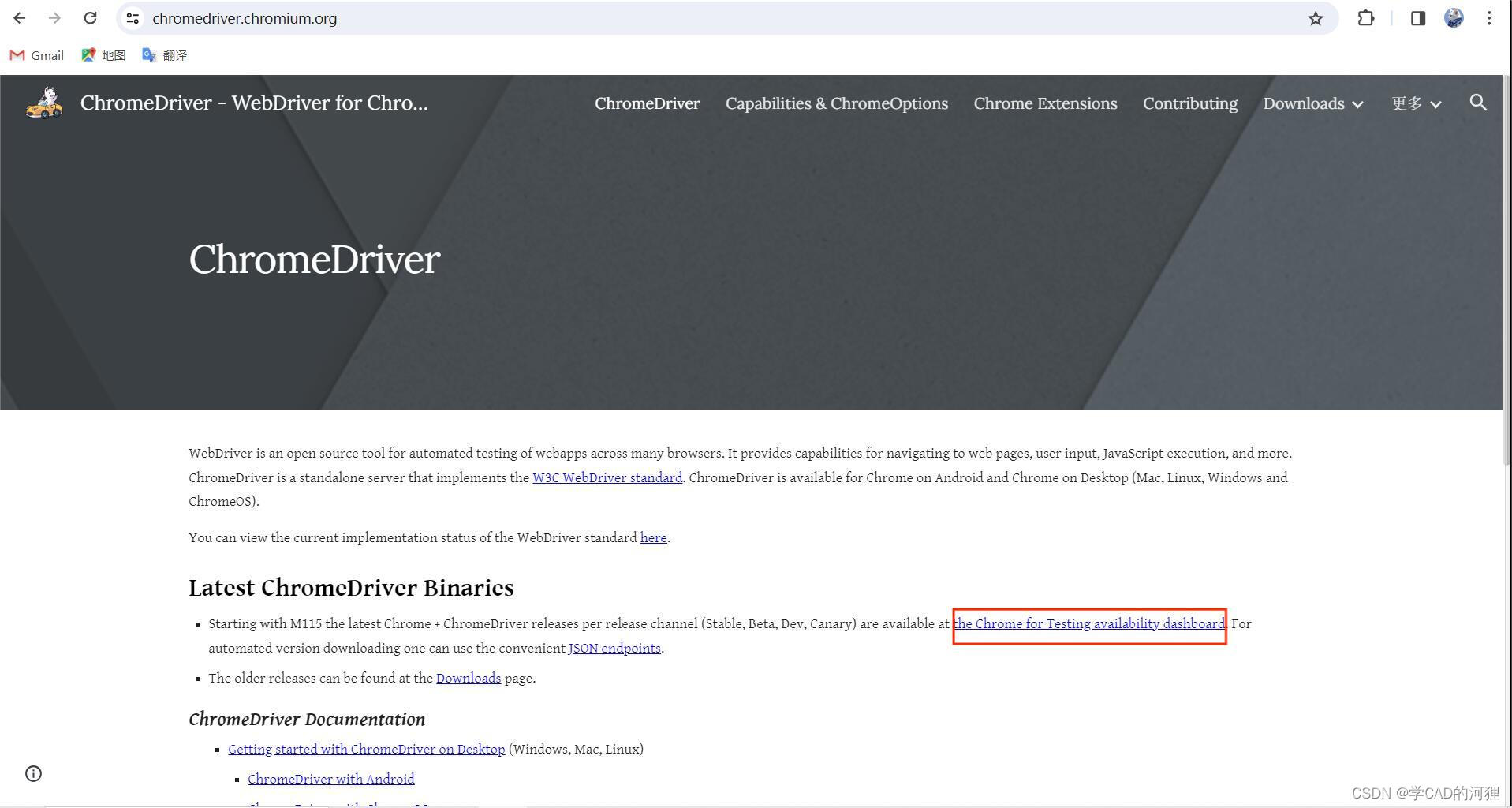 ChromeDriver / Selenium-server_chrome driver-CSDN博客