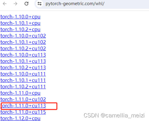 pycaharm中run运行出现OSError: libcusparse.so.11: cannot open shared object file: No such file or ...
